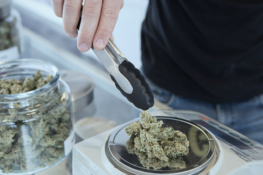 Elecciones en Harris County 2026: rechazan intervención