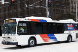 Renovación del TPS hasta 2026 : todo lo que debes saber