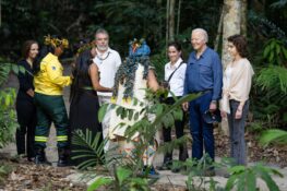 Houston y sus condados: guía 2024 con lo que debes saber