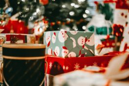 Houston y sus condados: guía 2024 con lo que debes saber