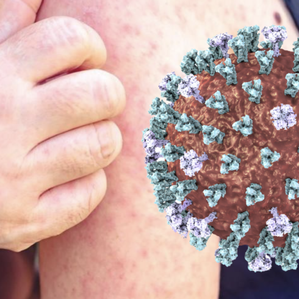 Houston y sus condados: guía 2024 con lo que debes saber