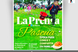 Houston y sus condados: guía 2024 con lo que debes saber