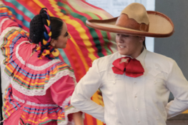 Houston y sus condados: guía 2024 con lo que debes saber