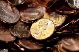 Houston y sus condados: guía 2024 con lo que debes saber