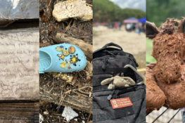 Houston y sus condados: guía 2024 con lo que debes saber