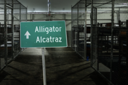 Houston y sus condados: guía 2024 con lo que debes saber