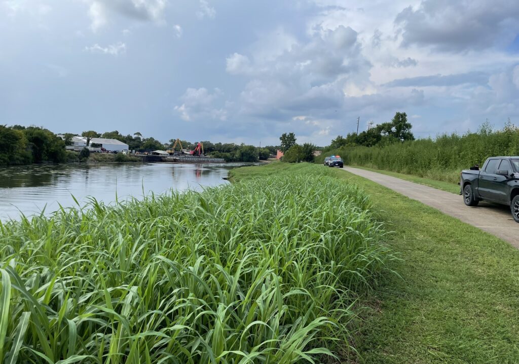 Cuerpos hallados en Bayous de Houston: 33 casos en 2025